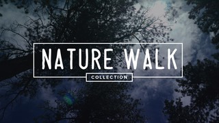 Nature Walk | Shift Worship