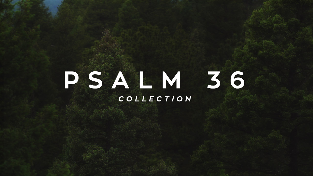 Psalm 36 | Collections | Shift Worship